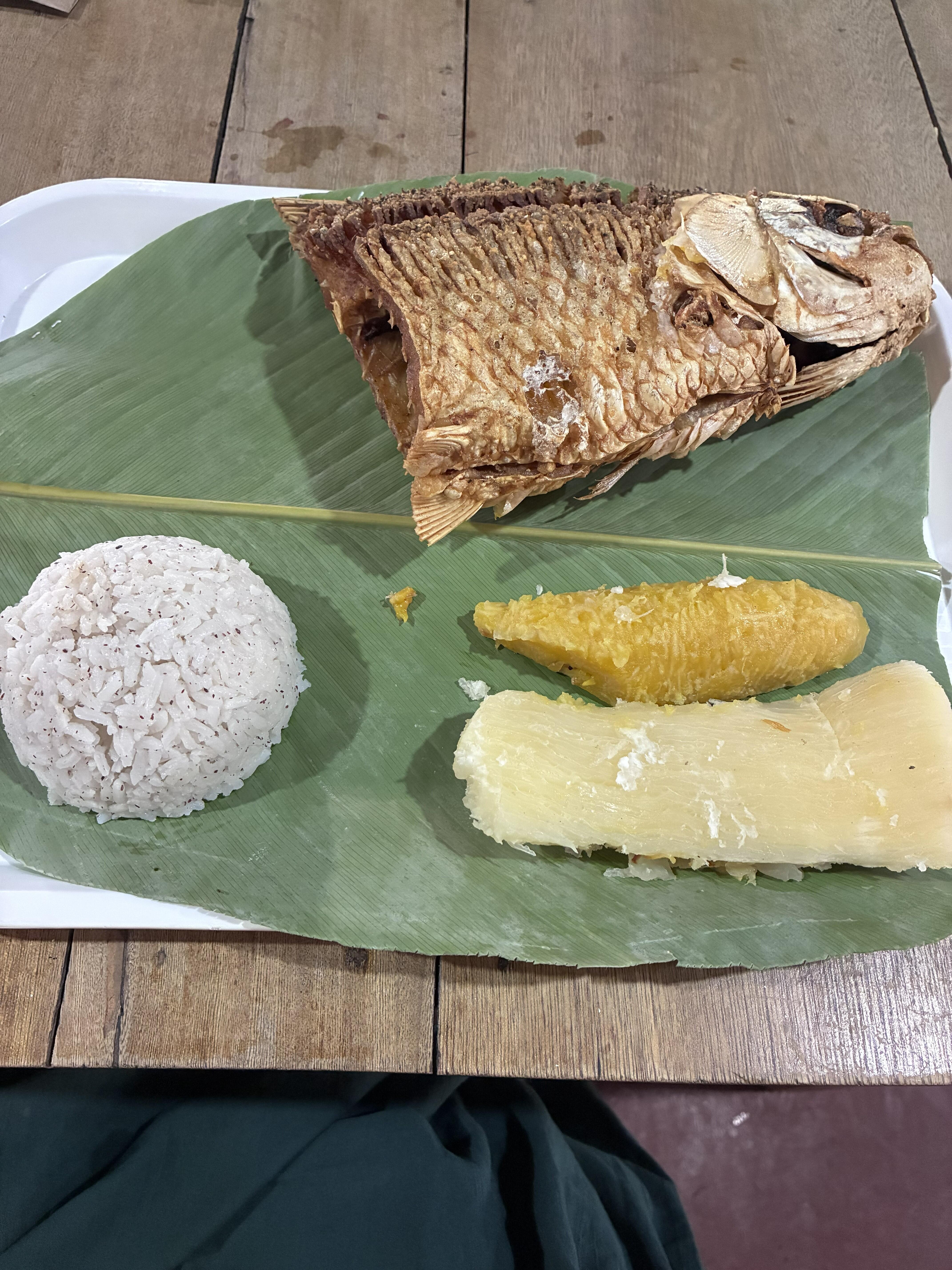 モンテリアからこんにちは。 | コロンビア共和国便り（コロンビア支所） | JICA海外協力隊の世界日記