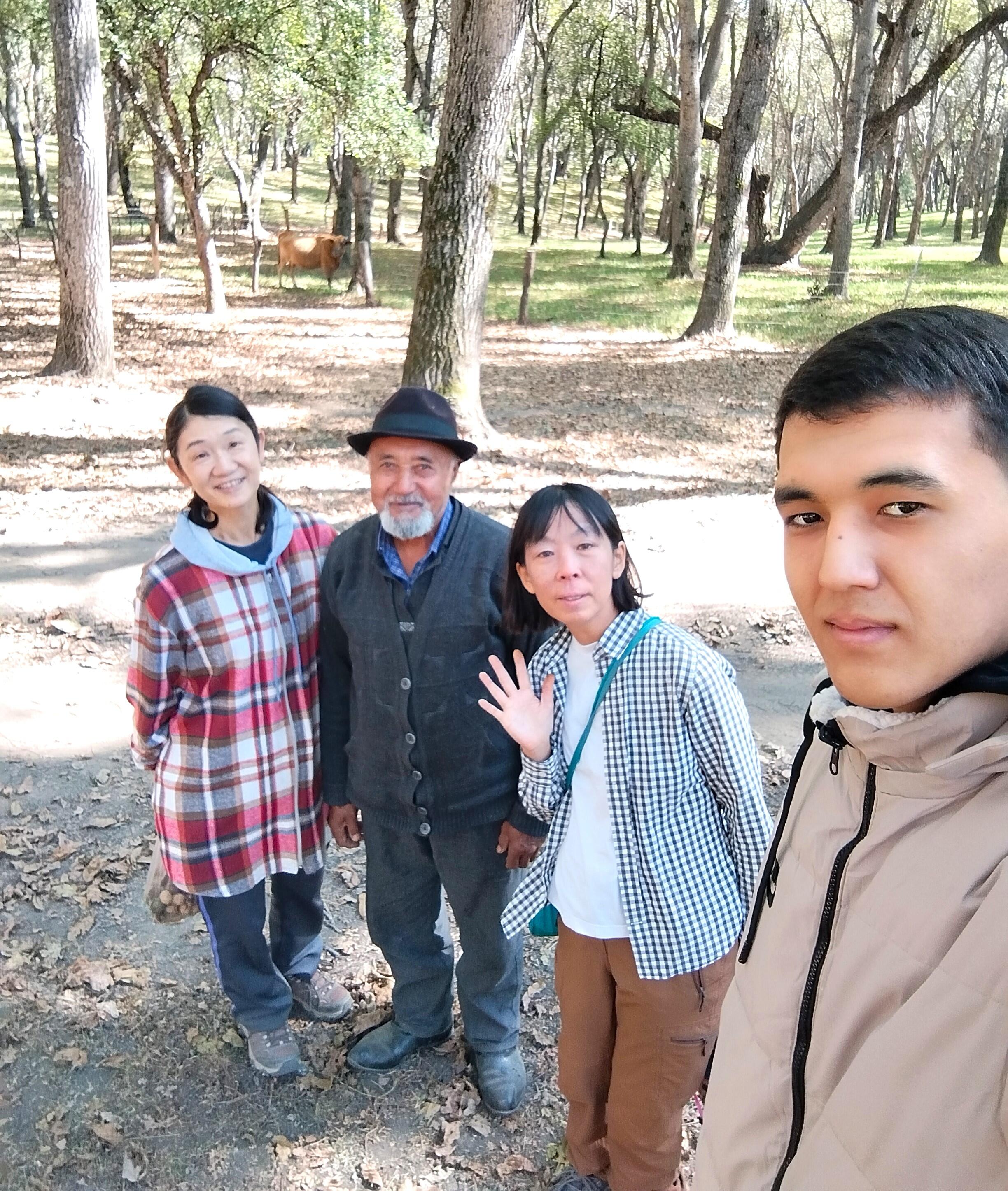 世界最大のクルミの森へ行ってきた！ | キルギス共和国便り（キルギス共和国事務所） | JICA海外協力隊の世界日記